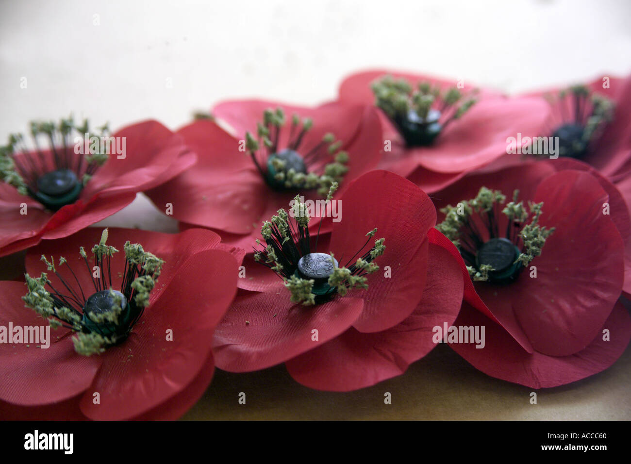 British legion poppy factory richmond hi-res stock photography and ...