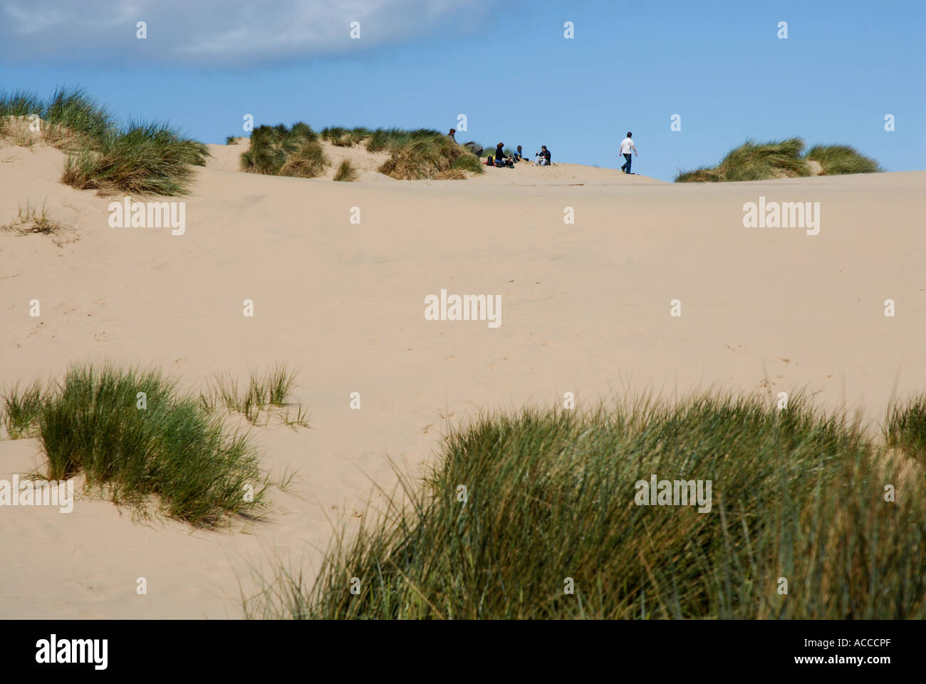 The sand dunes at Formby Point on the North West Coast Stock Photo - Alamy