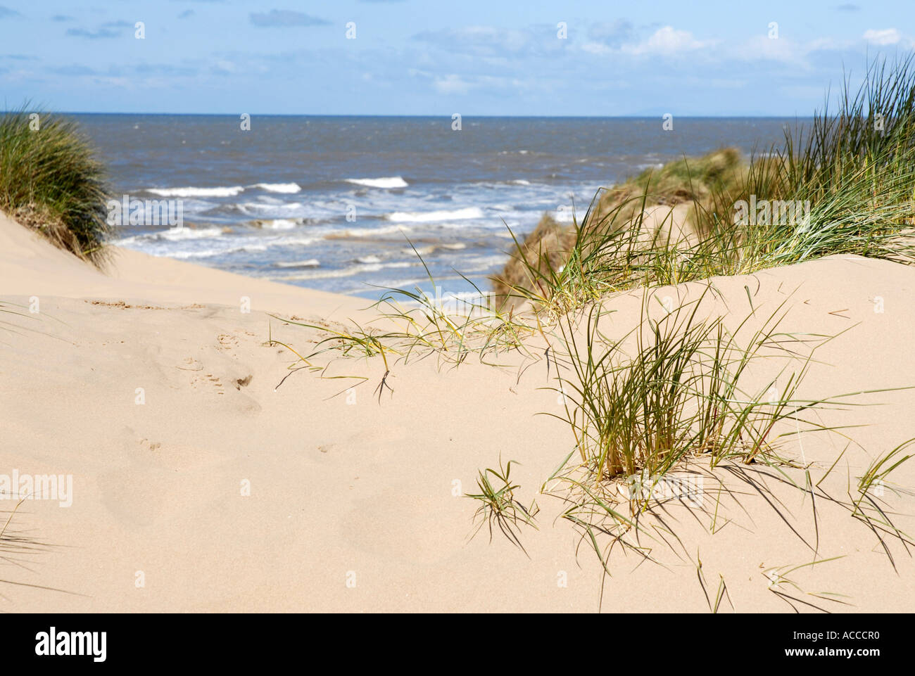 The sand dunes at Formby Point on the North West Coast Stock Photo - Alamy