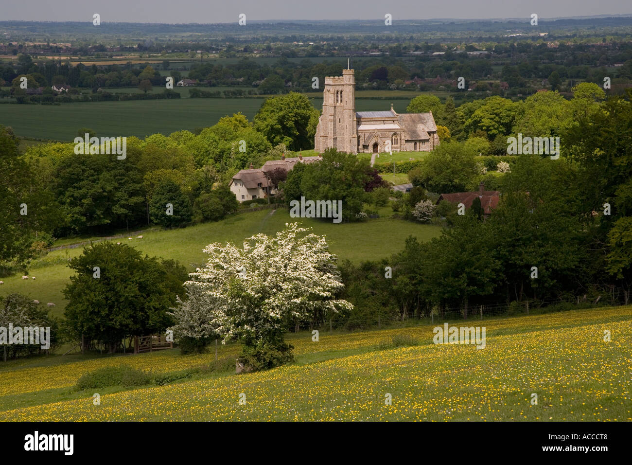 Ellesborough Church High Resolution Stock Photography and Images - Alamy