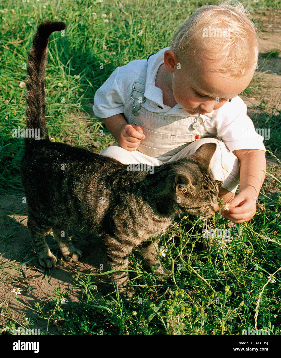 Animals and boy hi-res stock photography and images - Alamy