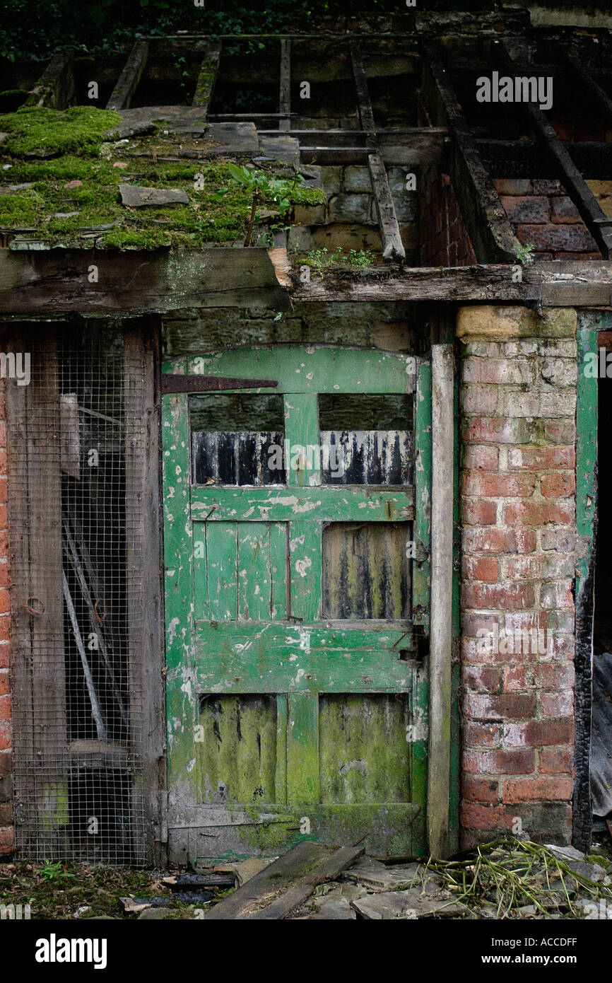 OLD GREEN DOOR ON A RUN DOWN DERELICT BUILDING Stock Photo - Alamy