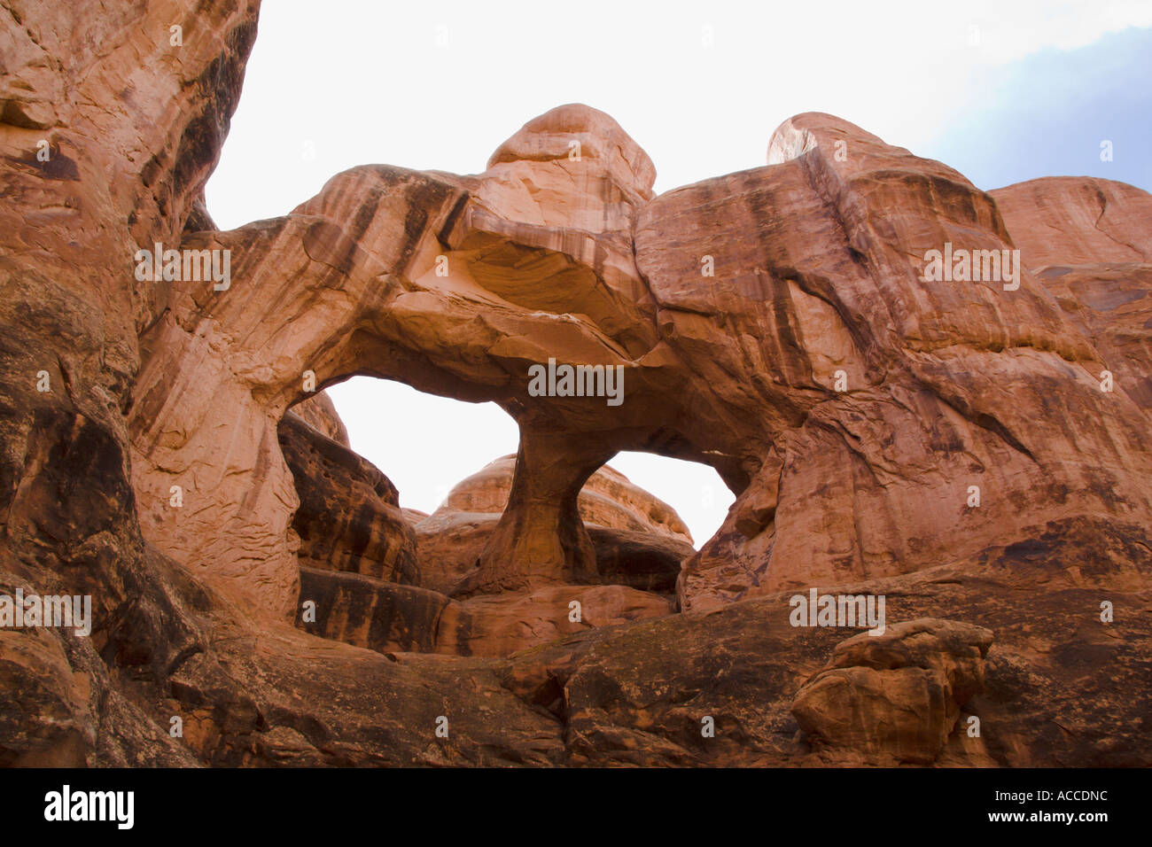Twin arch arches national park hi-res stock photography and images - Alamy