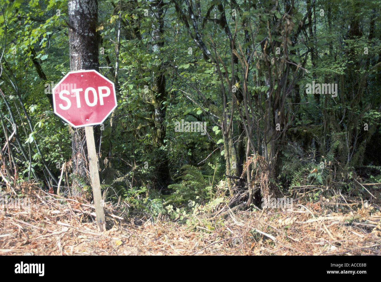 Broken stop sign leaning up against tree Stock Photo - Alamy