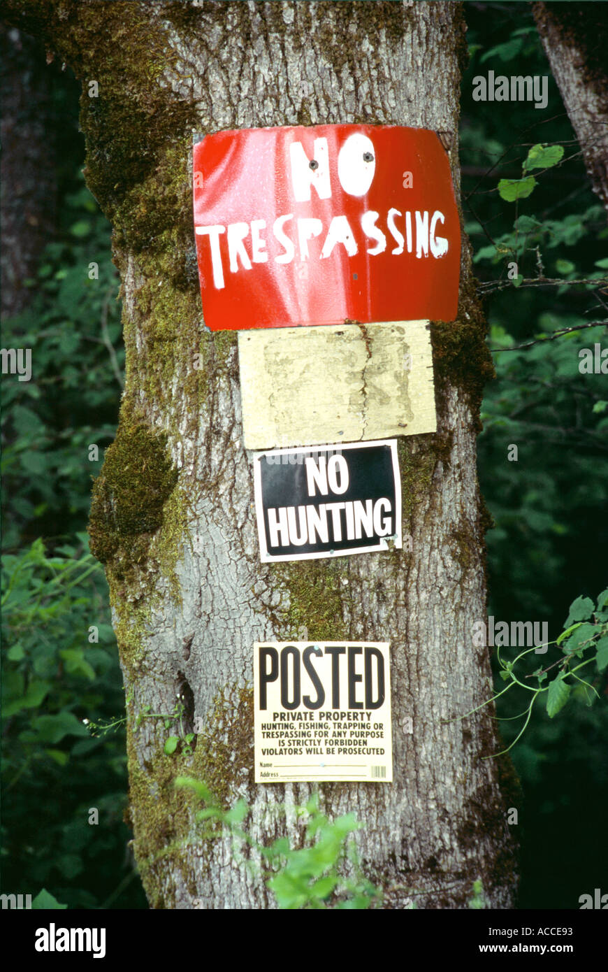 No trespassing signs on street hi-res stock photography and images - Alamy