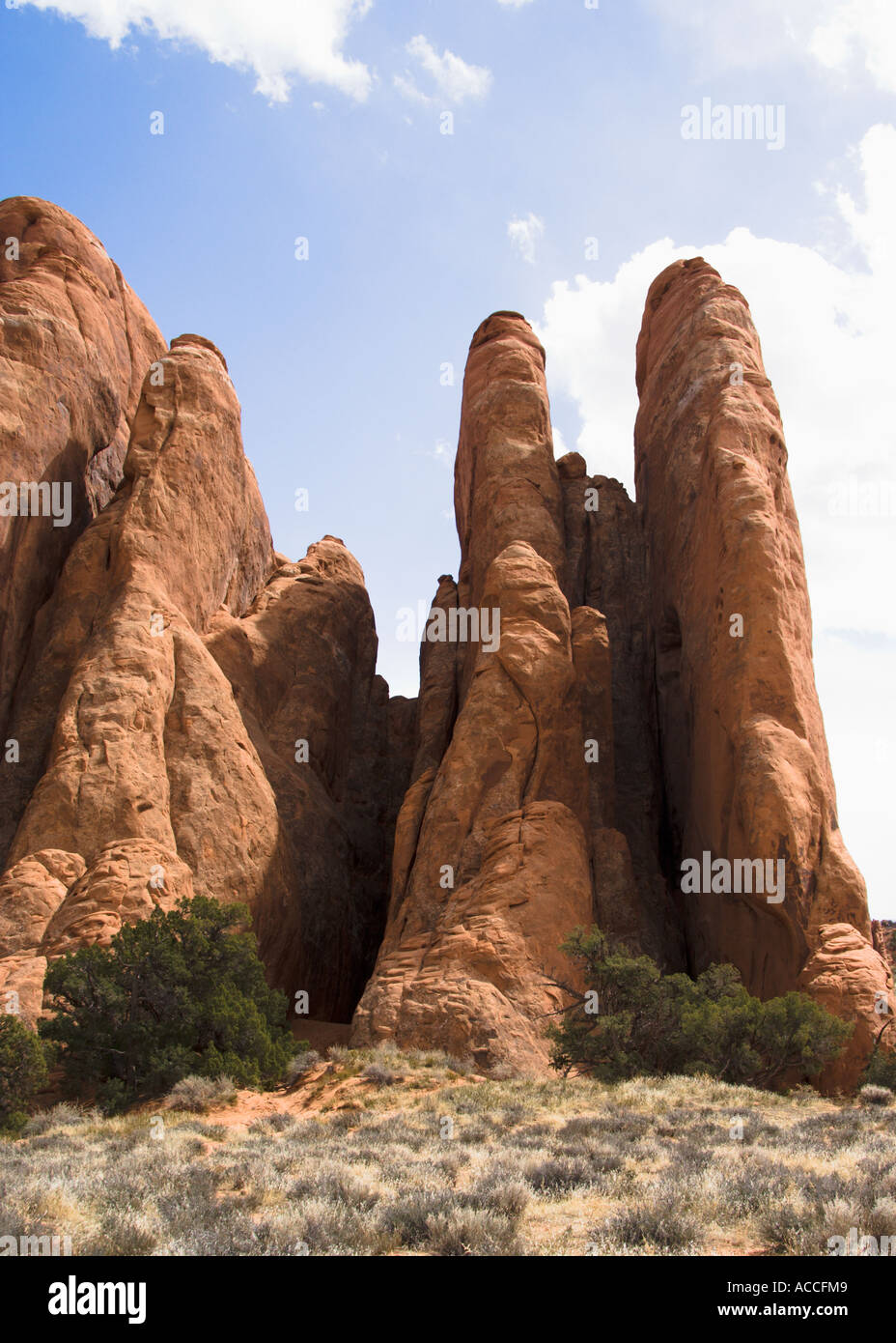 Orange fin shaped rocks in Arches National Park Utah USA Stock Photo ...