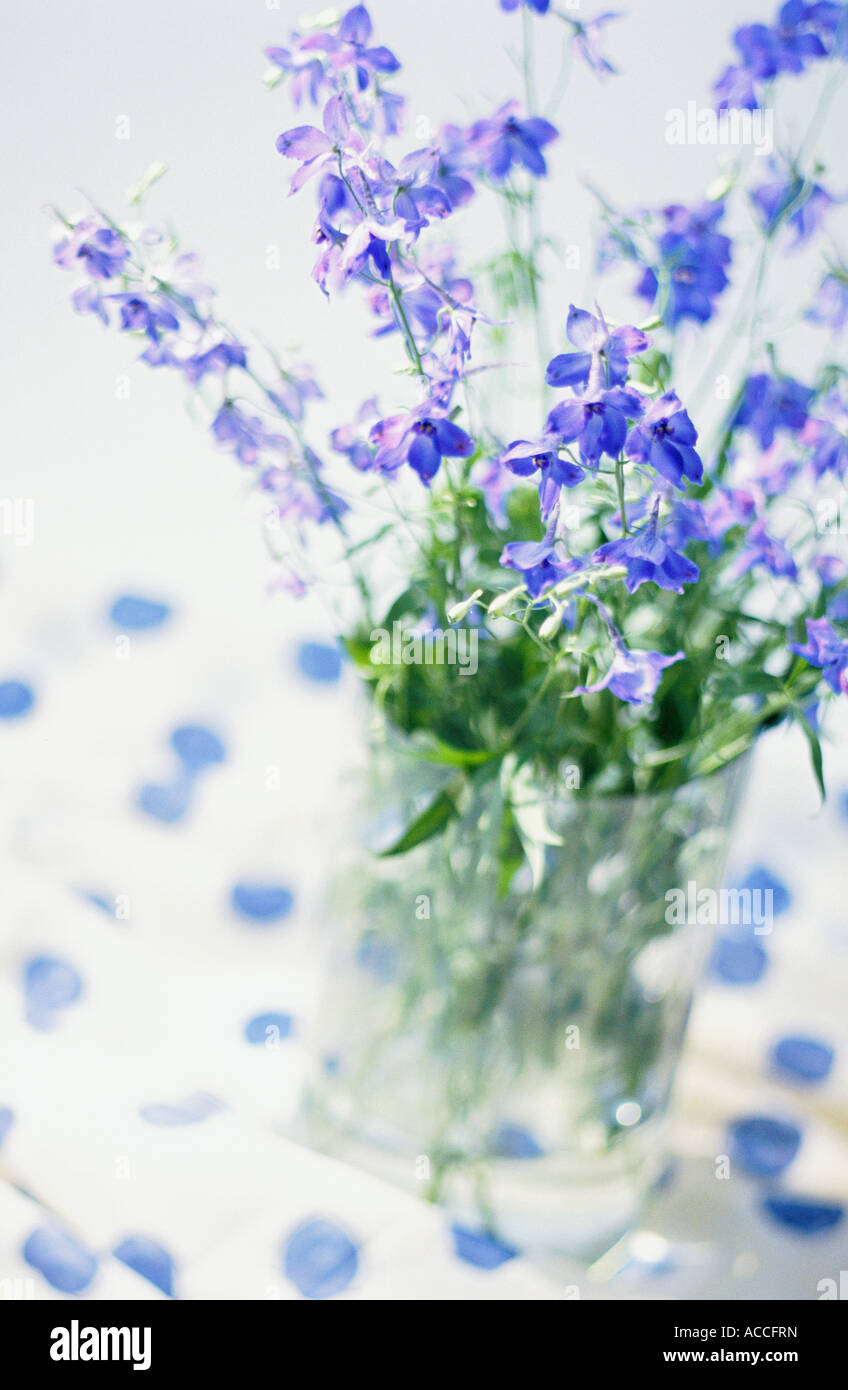 Flowers in a vase close-up Stock Photo - Alamy