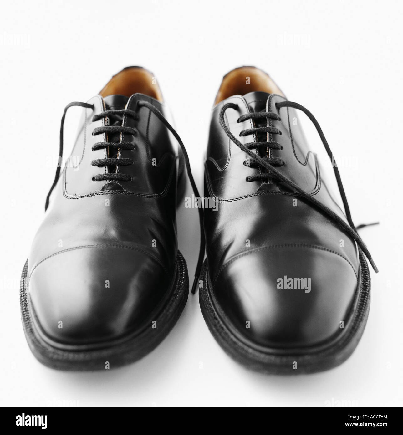 Shoes on a white background Stock Photo - Alamy