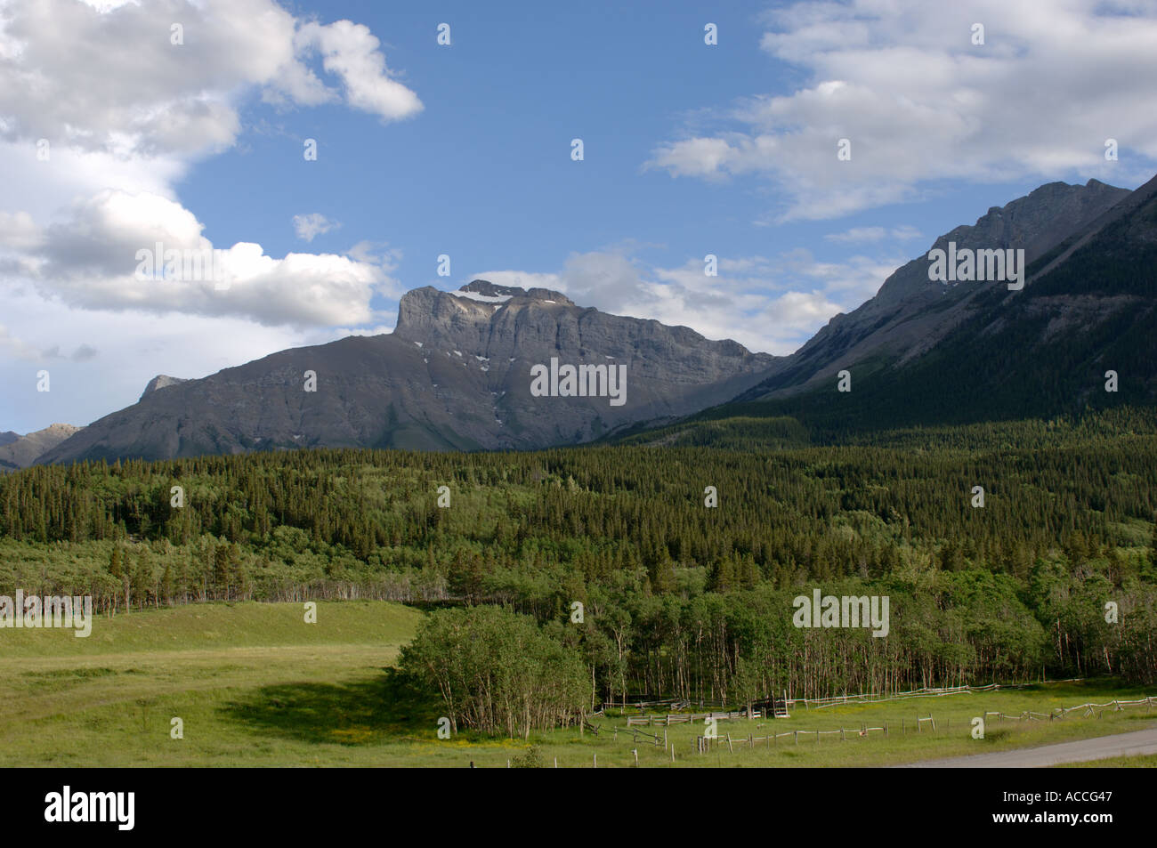 Ranch near Coleman township Crowsnest area Rocky Mountains Southern ...