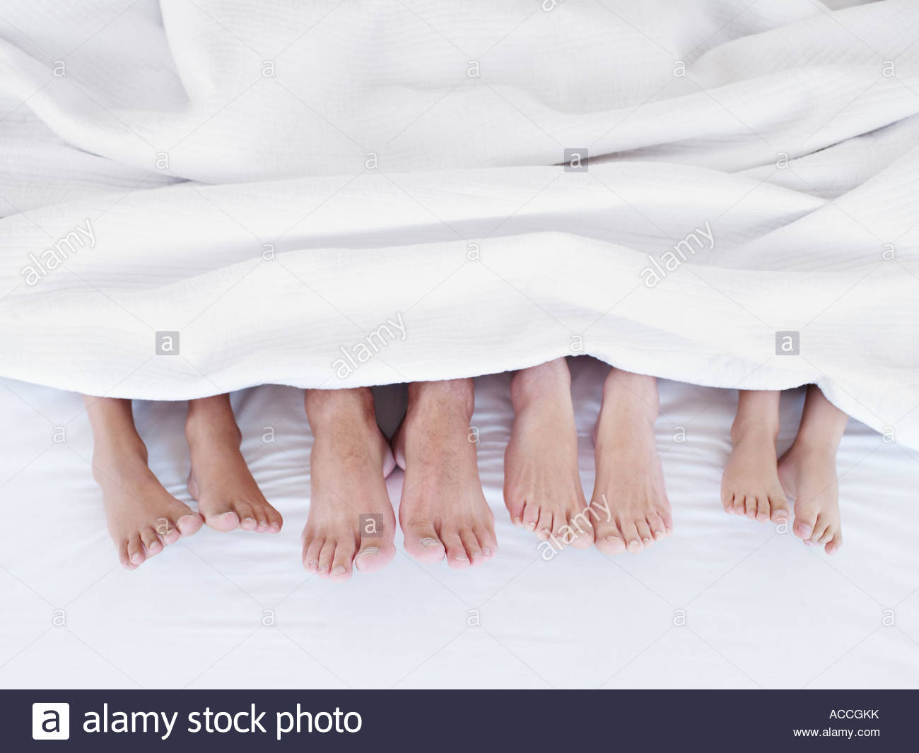 Woman With Four Legs Stock Photos & Woman With Four Legs Stock Images ...