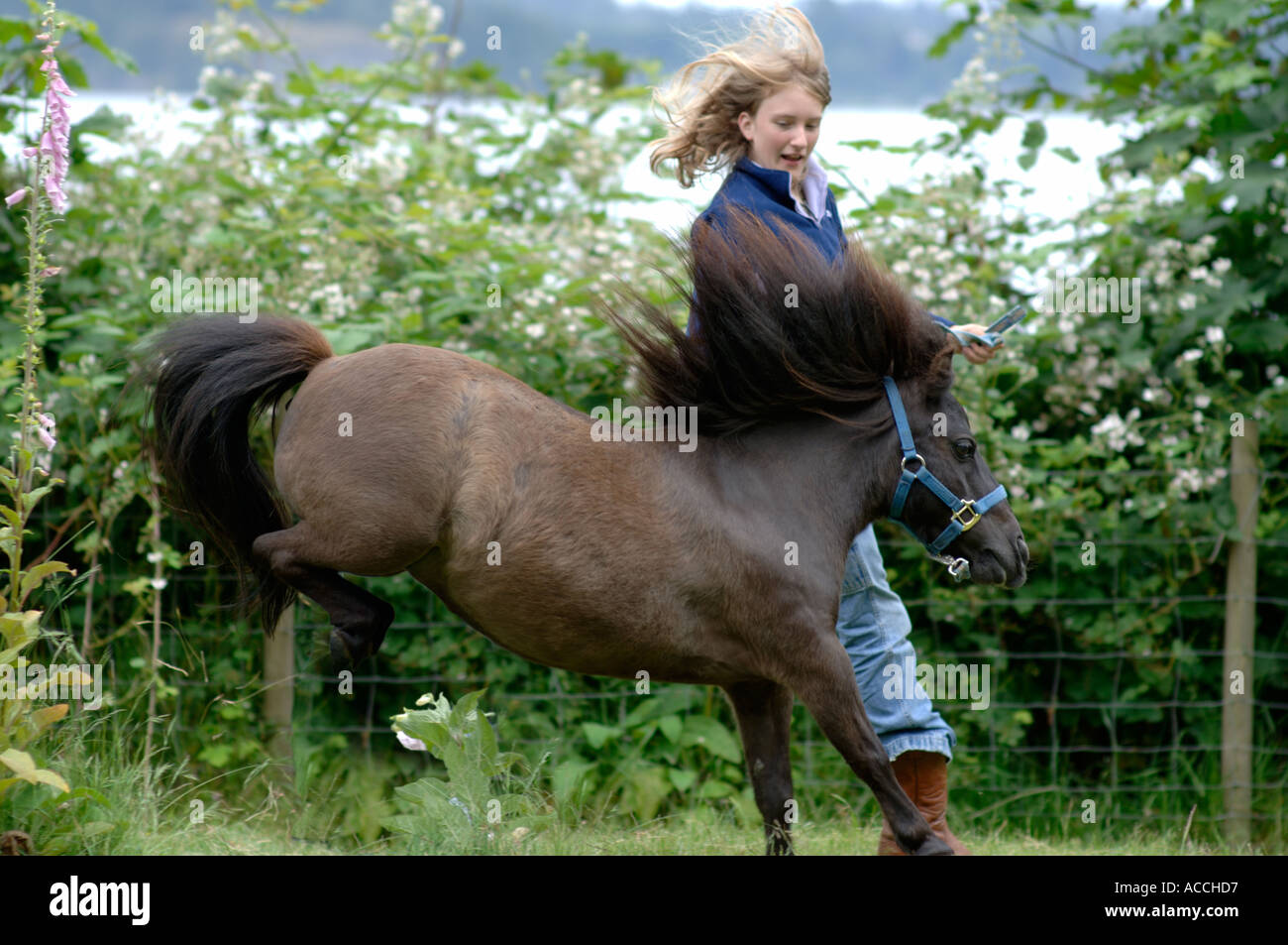 girl jumping with pony Stock Photo - Alamy