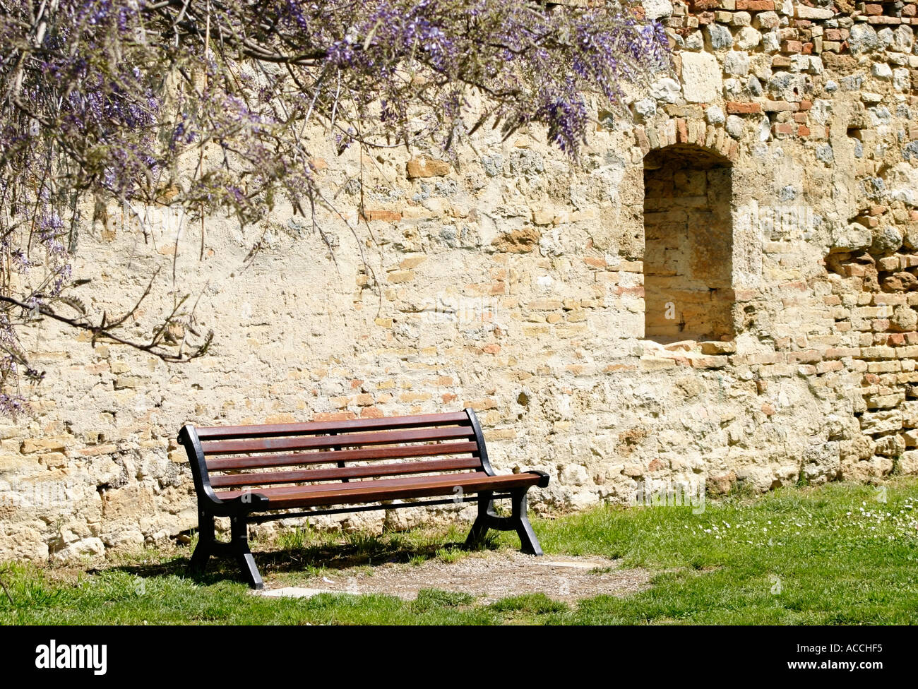 Bench in park Stock Photo - Alamy