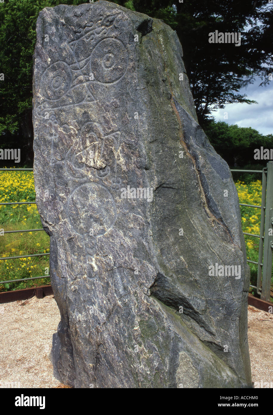 The Picardy Stone, Scotland Stock Photo - Alamy