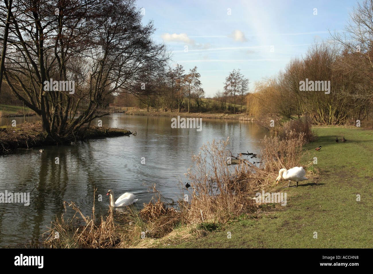 Pinxton derbyshire england hi-res stock photography and images - Alamy