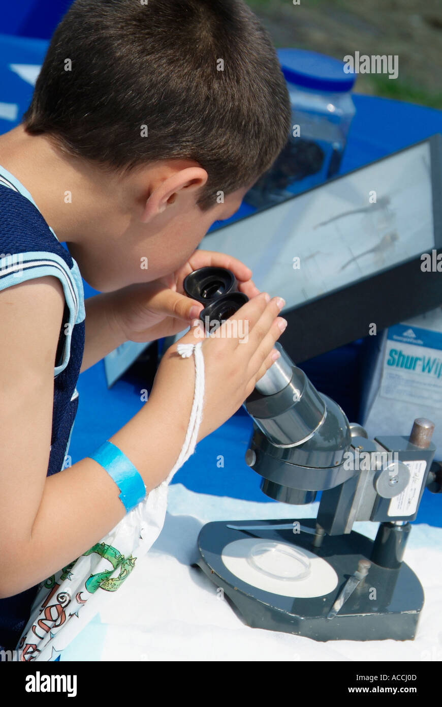 Child looks through microscope at elementary school age science fair ...