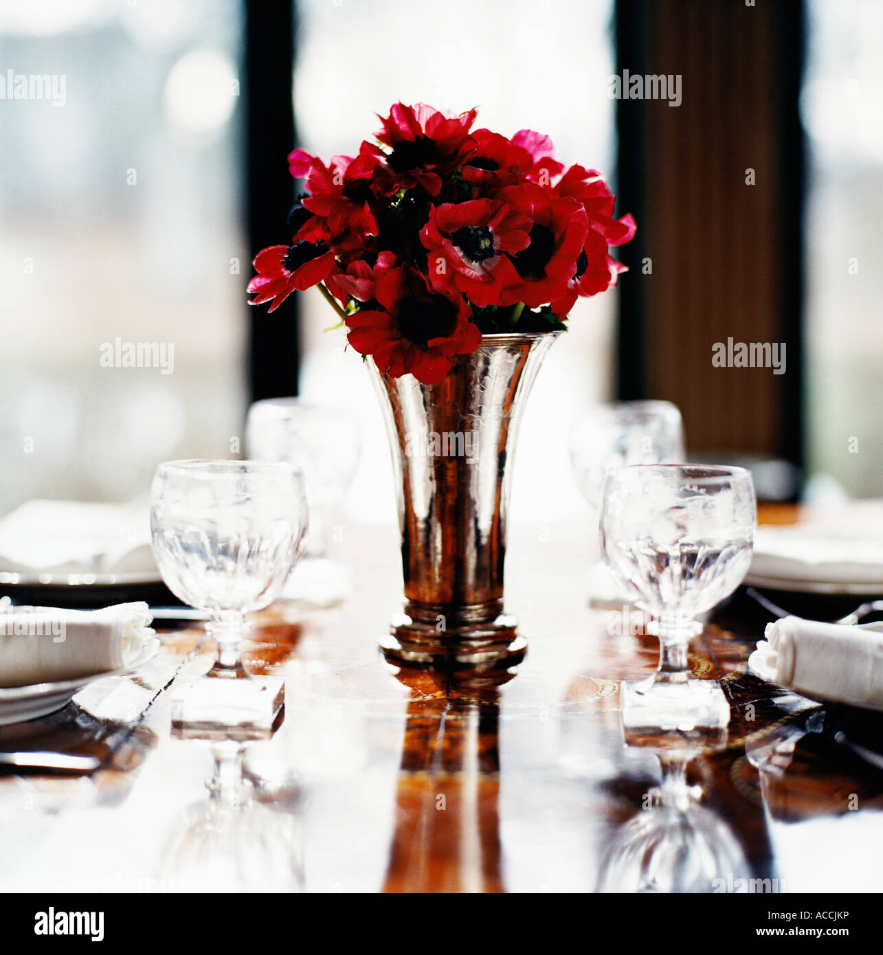 Red anemones in a vase on a set table Stock Photo - Alamy