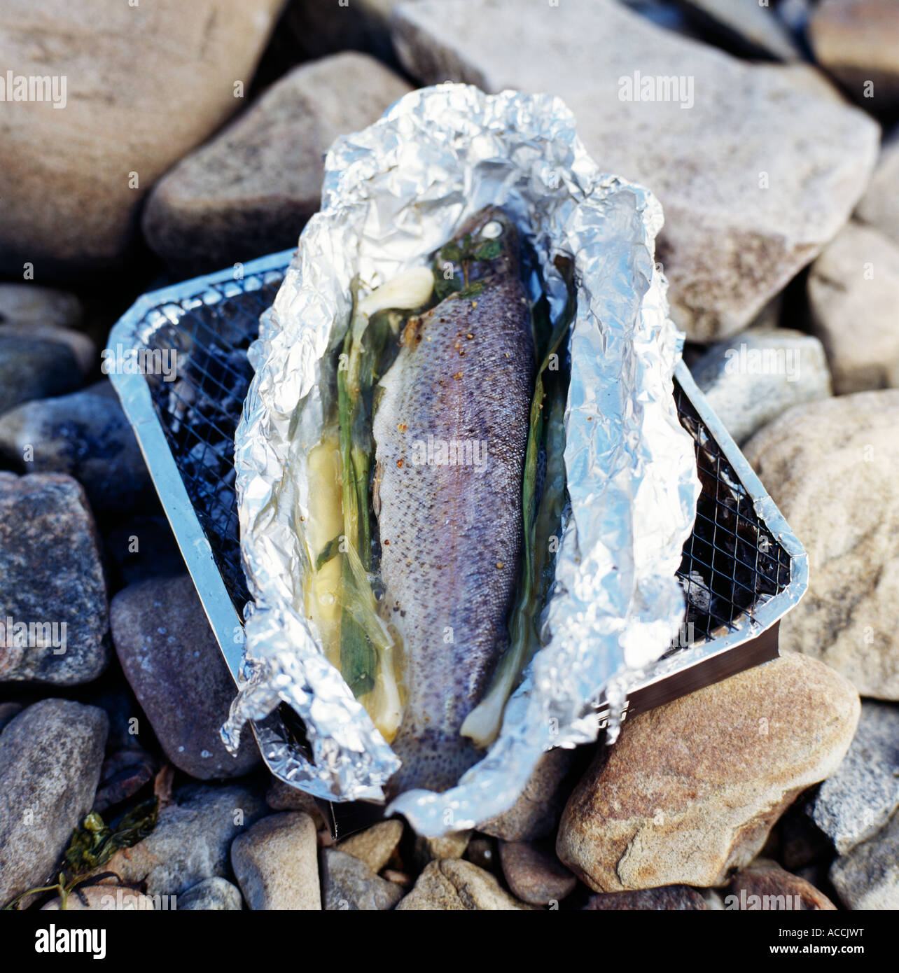 Fish article hi-res stock photography and images - Alamy