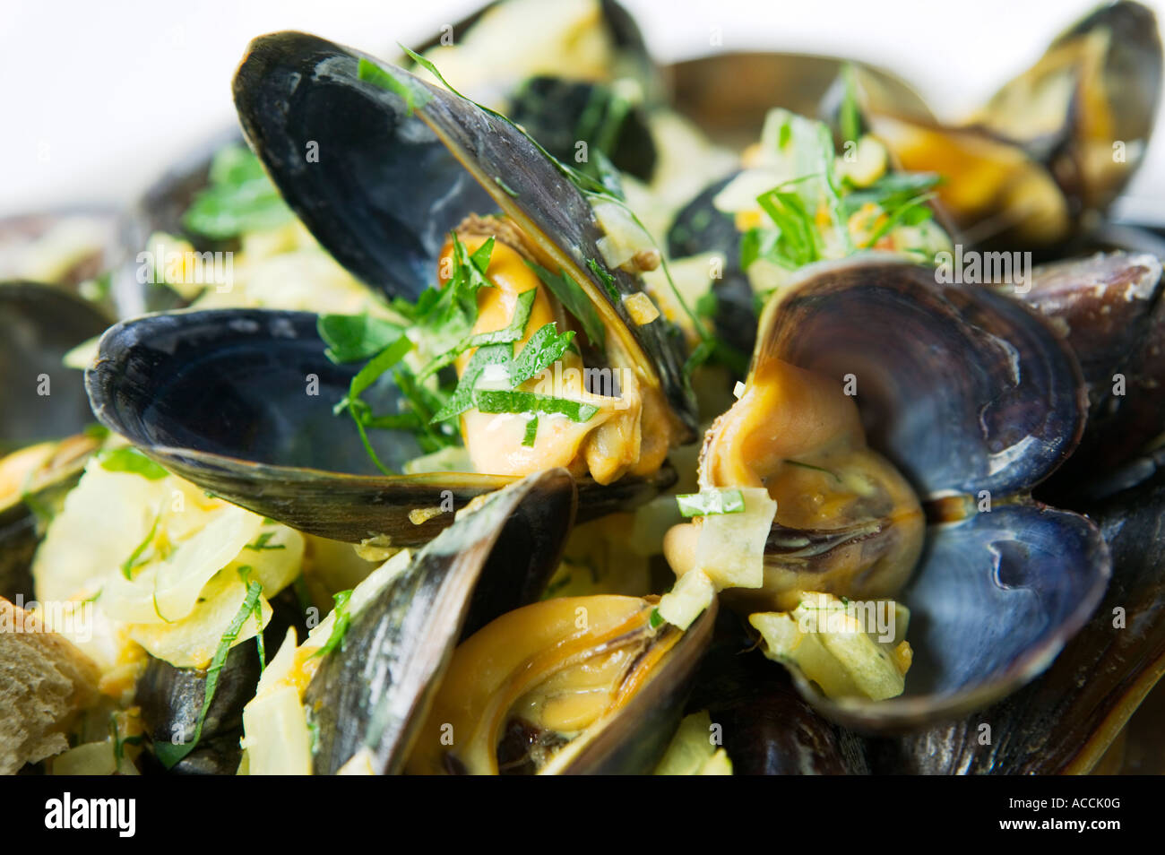 Cooked clams close-up Stock Photo - Alamy