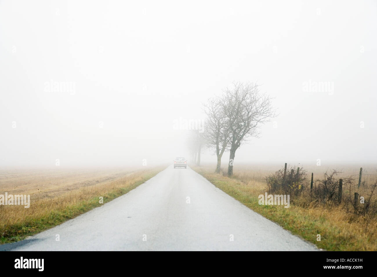 A country road covered in fog Stock Photo - Alamy