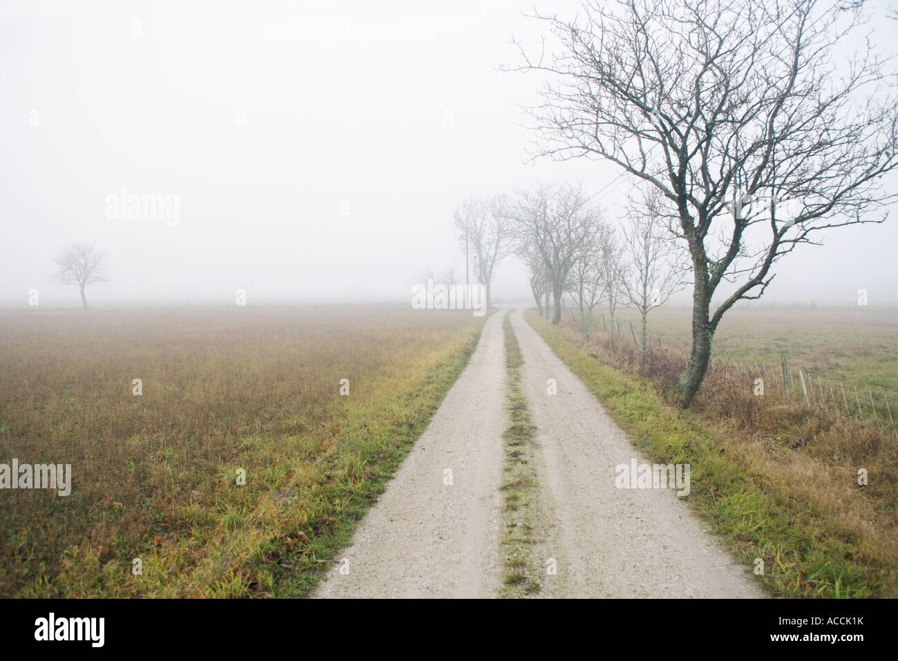A road covered in fog Stock Photo - Alamy