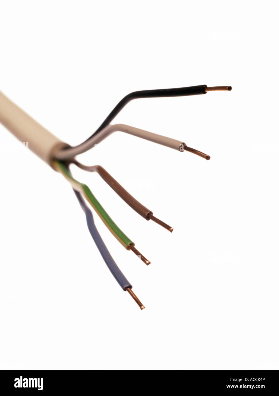 A peeled electric cord close-up Stock Photo - Alamy