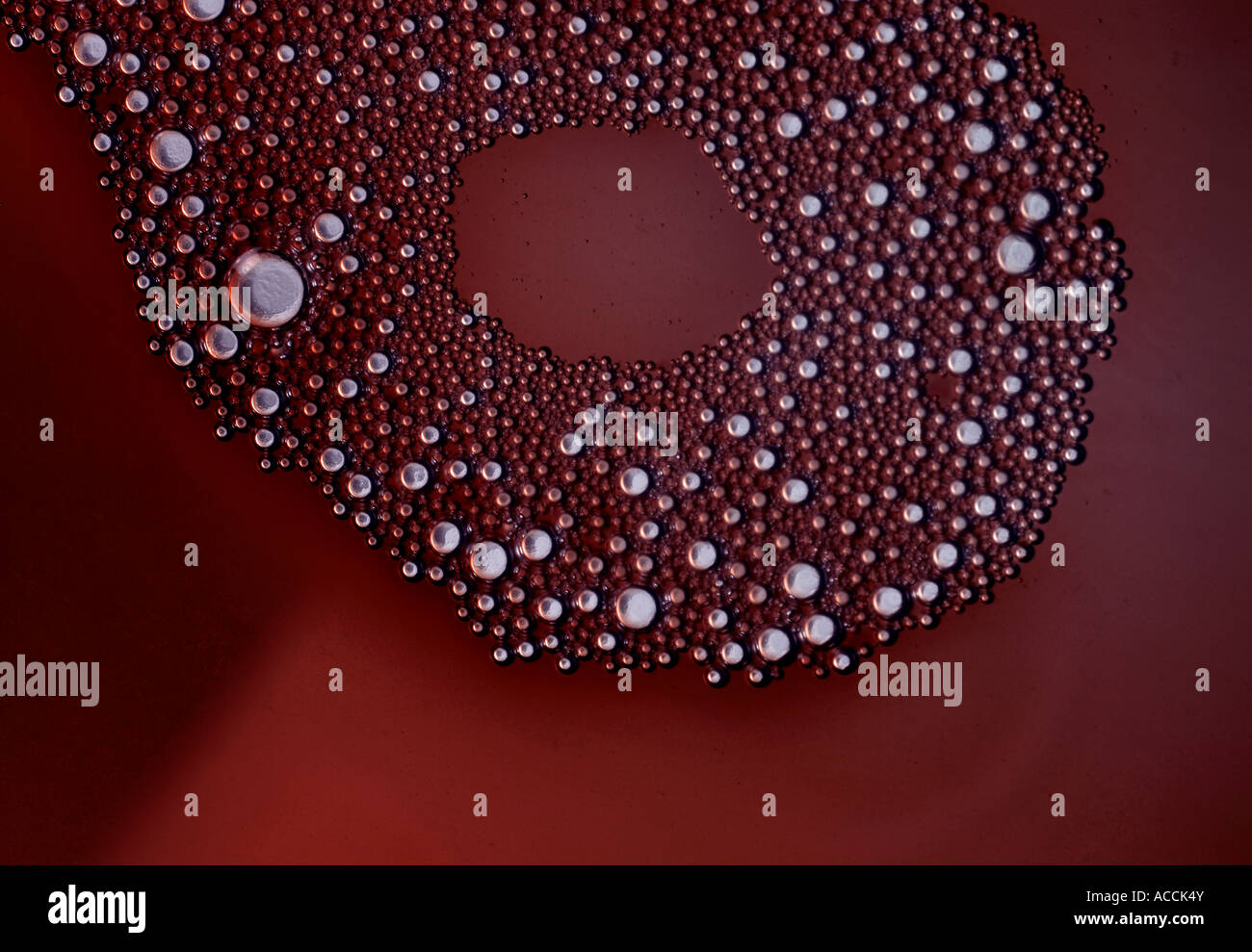 Bubbles in red fluid Stock Photo - Alamy