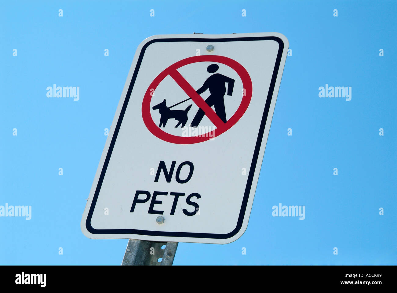 Pets allowed symbol hi-res stock photography and images - Alamy