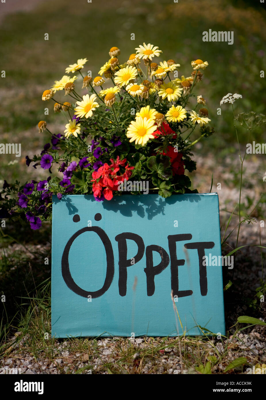 An open-sign in front of flowers Stock Photo - Alamy