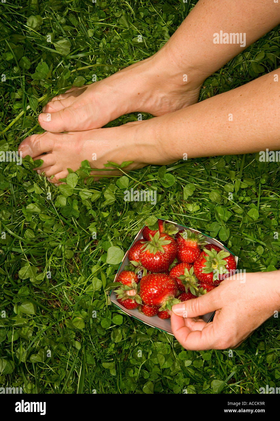 Strawberries and feet on a lawn Stock Photo - Alamy