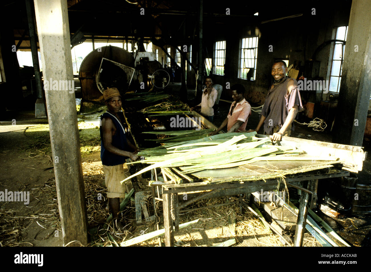 Sisal tanzania hi-res stock photography and images - Alamy