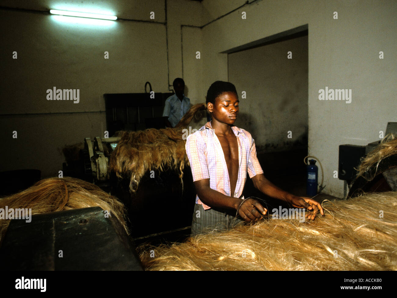 Sisal factory hi-res stock photography and images - Alamy