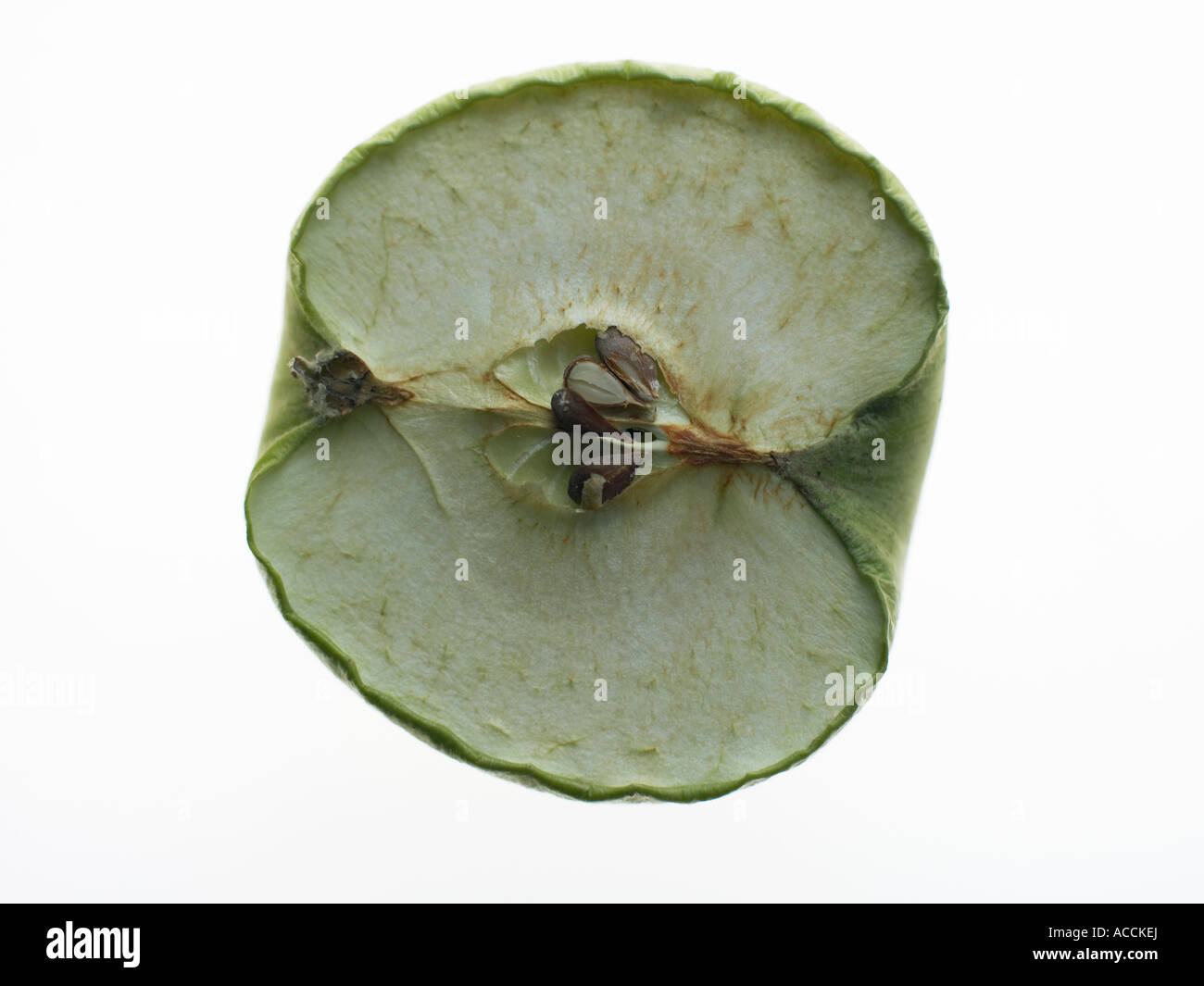Half an apple close-up Stock Photo - Alamy