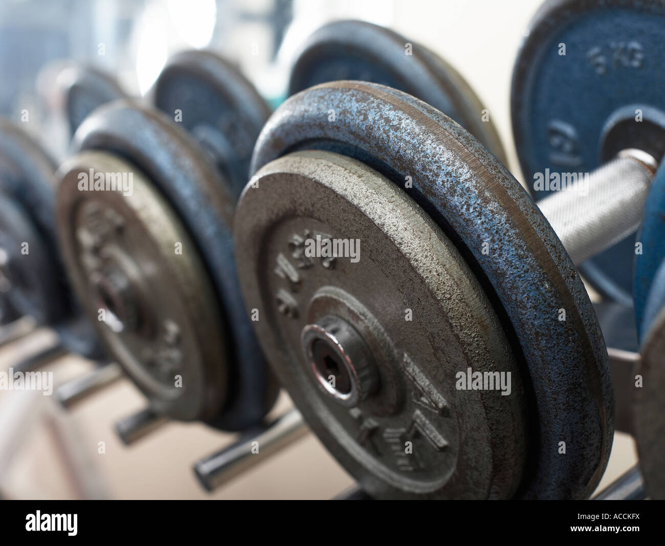 Barbells in a gym close-up Stock Photo - Alamy