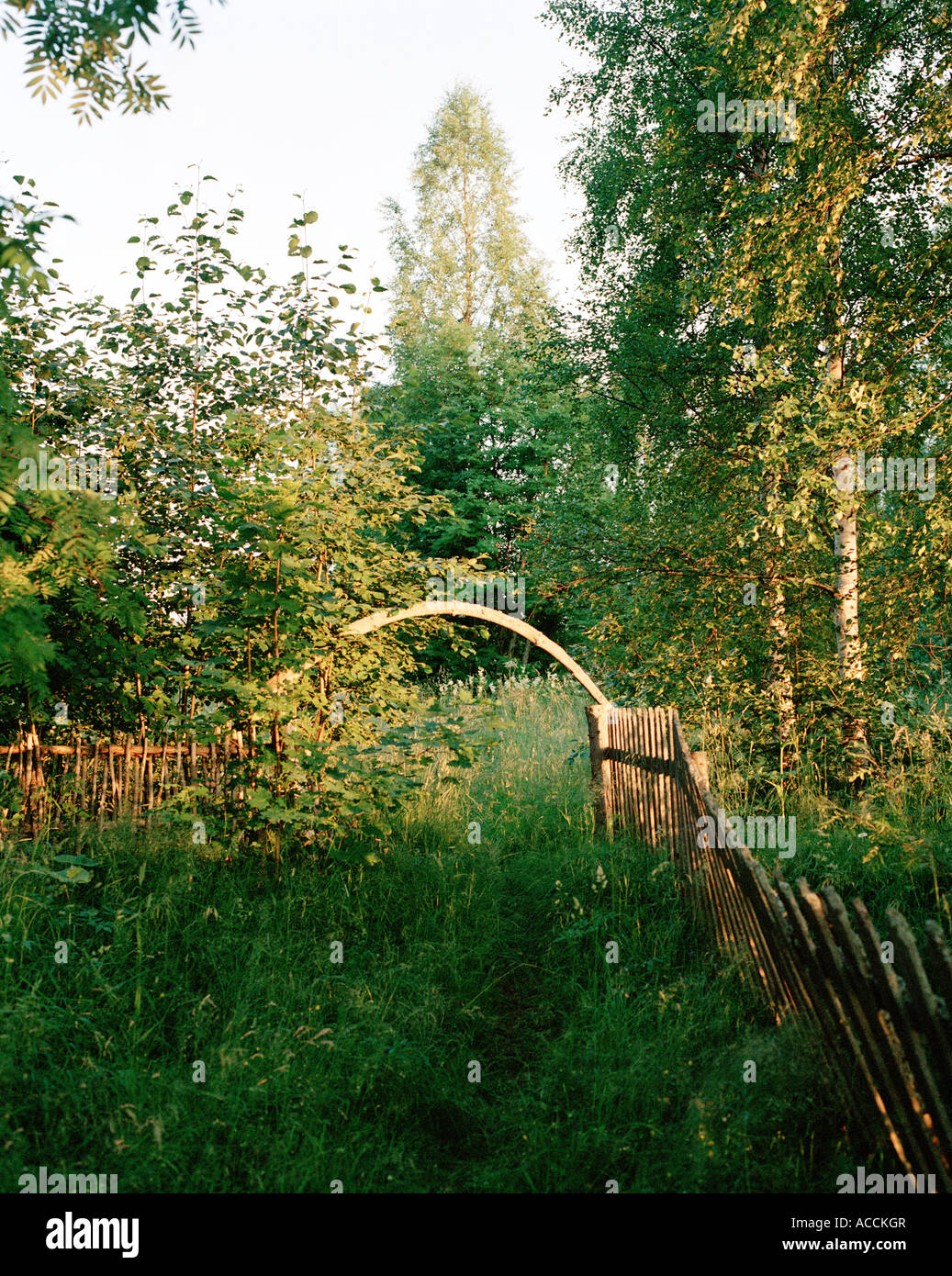 A garden gate in a meadow Stock Photo - Alamy