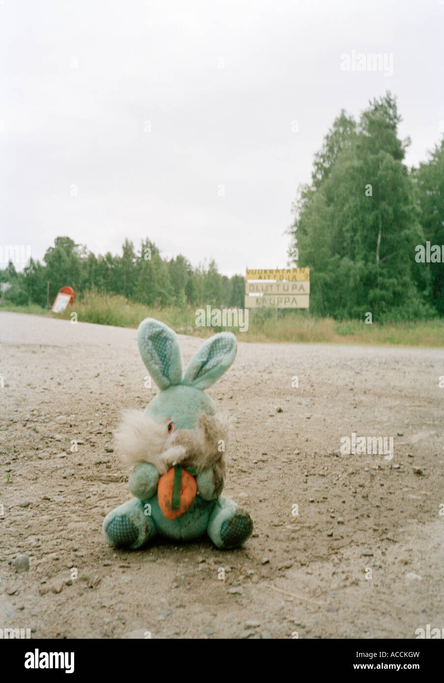 A run over toy animal Stock Photo - Alamy