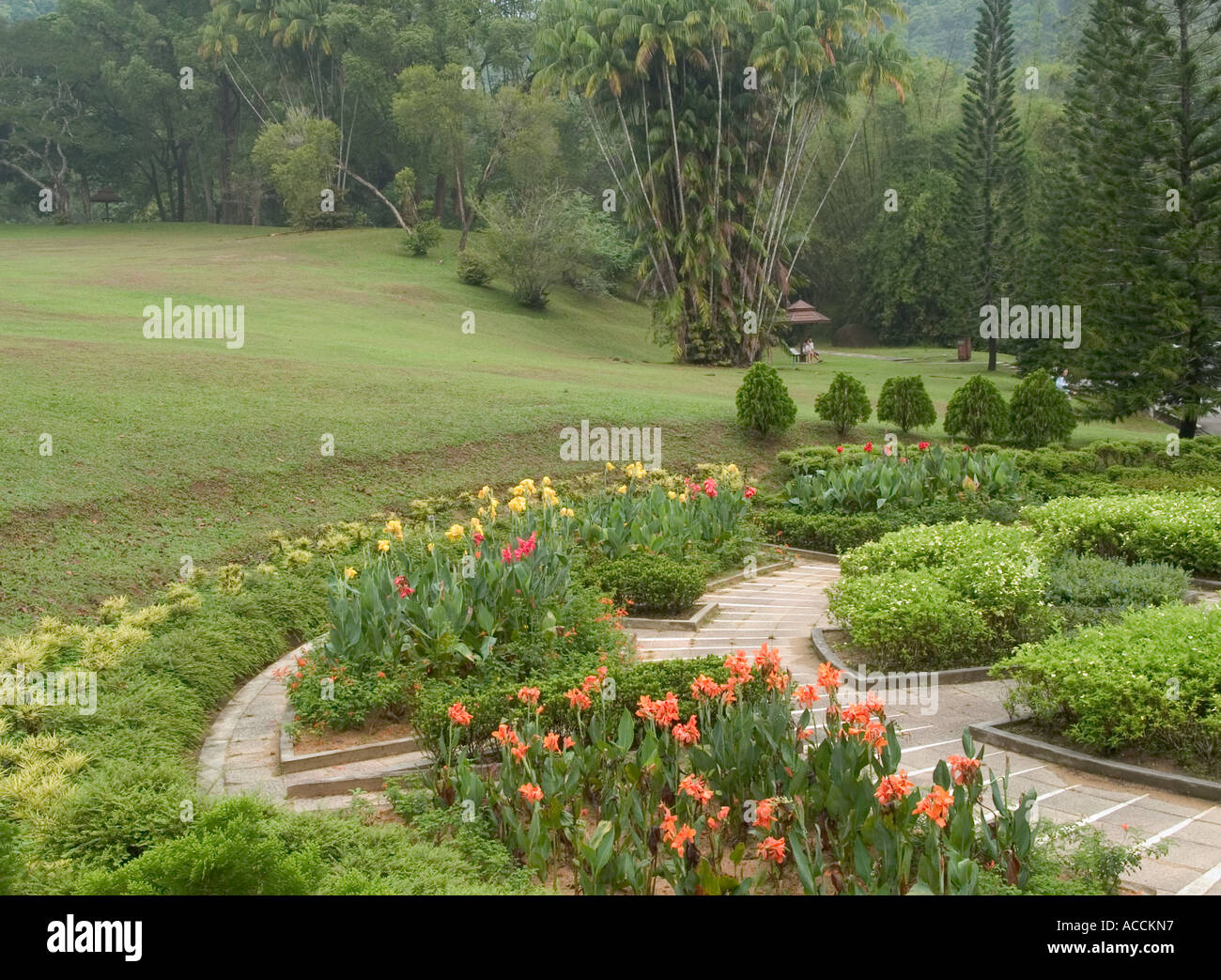 Malaysia border hi-res stock photography and images - Alamy