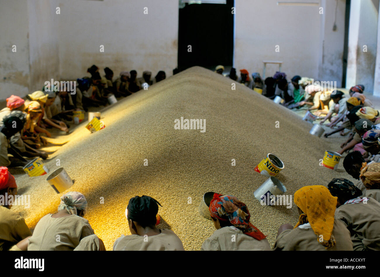 A mountain of beans: women grading green Harar coffee, Ethiopia Stock ...