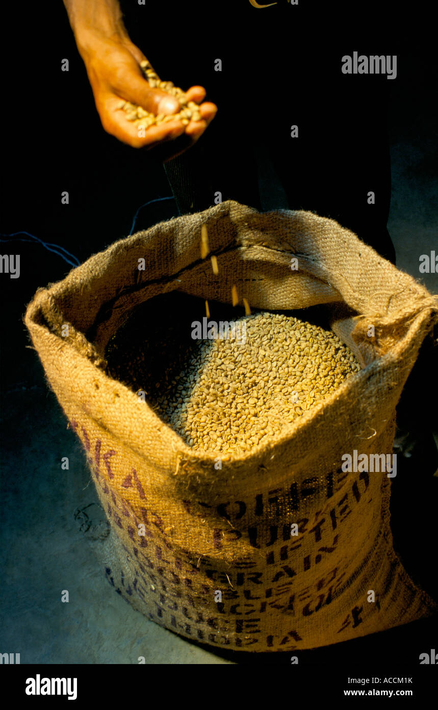 Grade a arabica coffee beans hi-res stock photography and images - Alamy