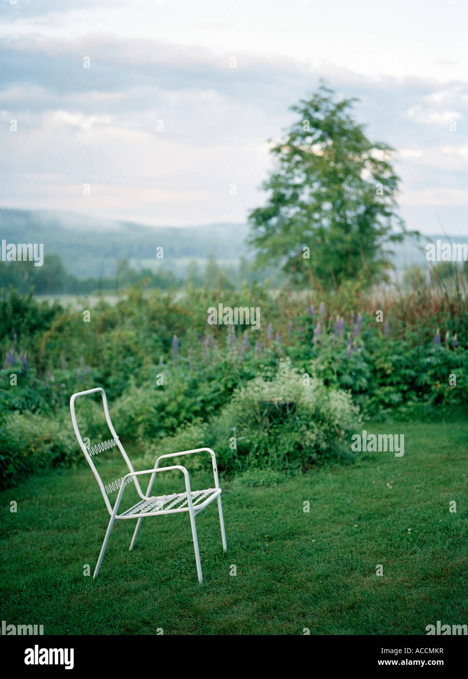 A chair on a lawn Stock Photo - Alamy