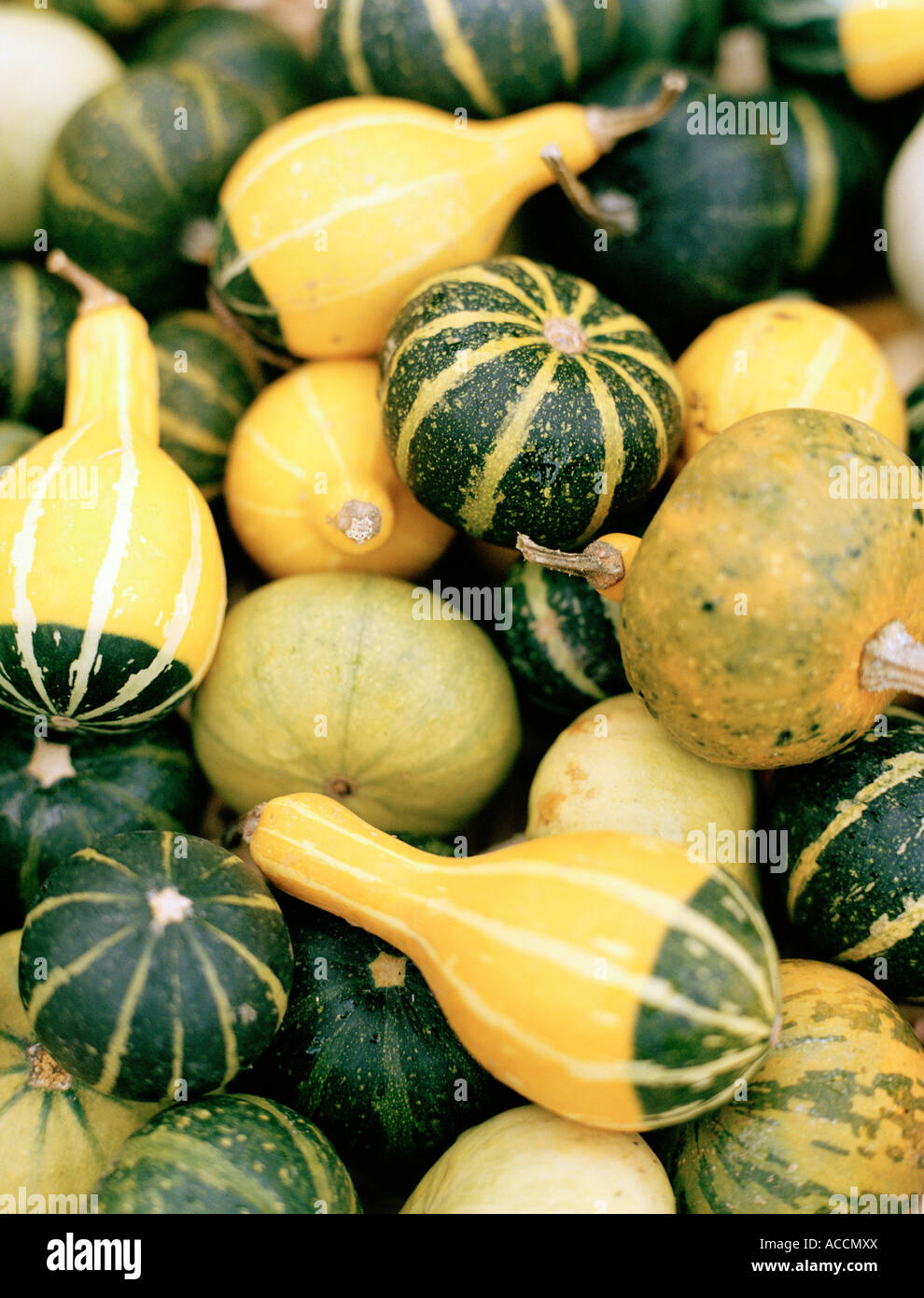 Numerous small fruits hi-res stock photography and images - Alamy