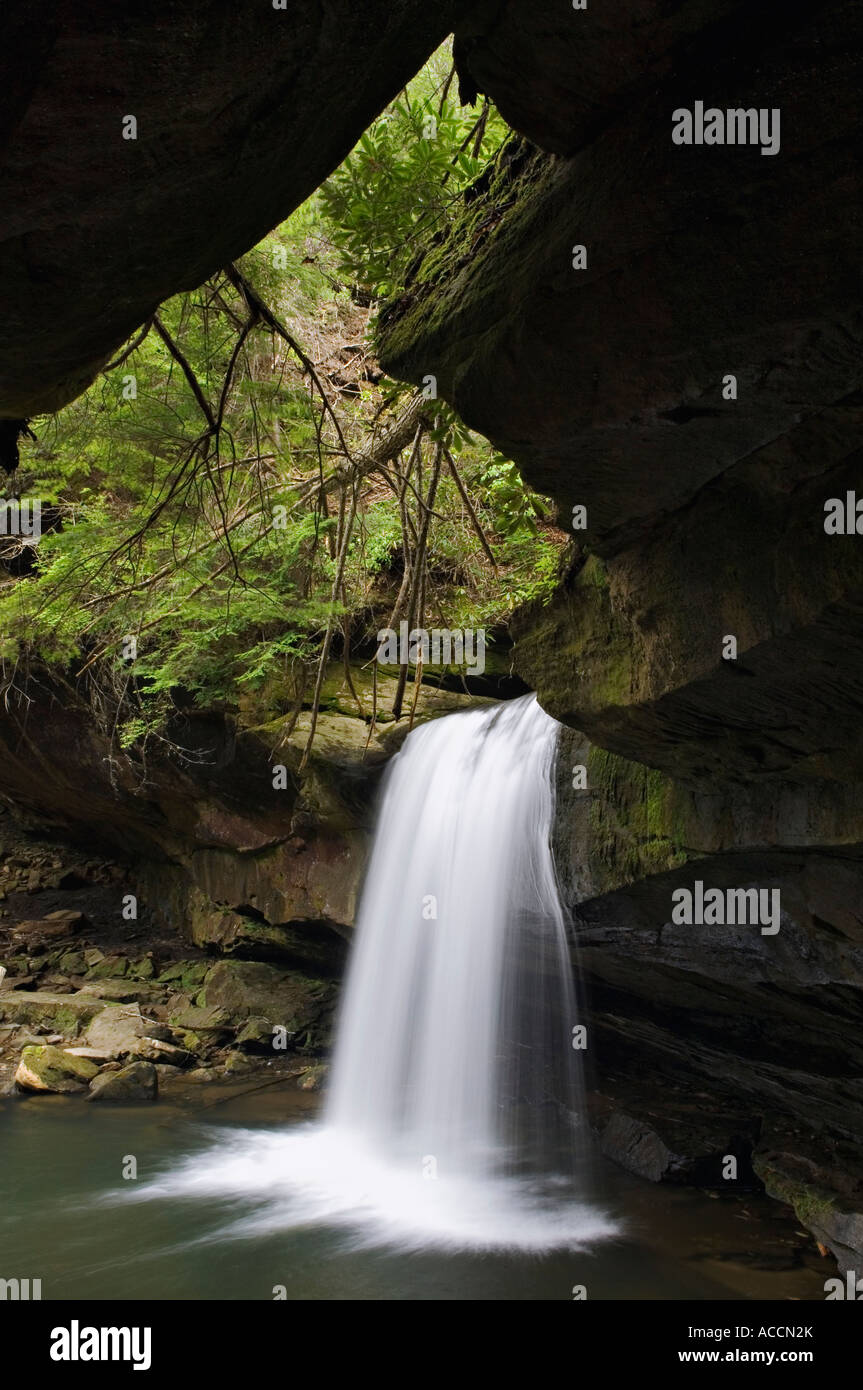 Dog Slaughter Falls Daniel Boone National Forest Kentucky Stock Photo ...