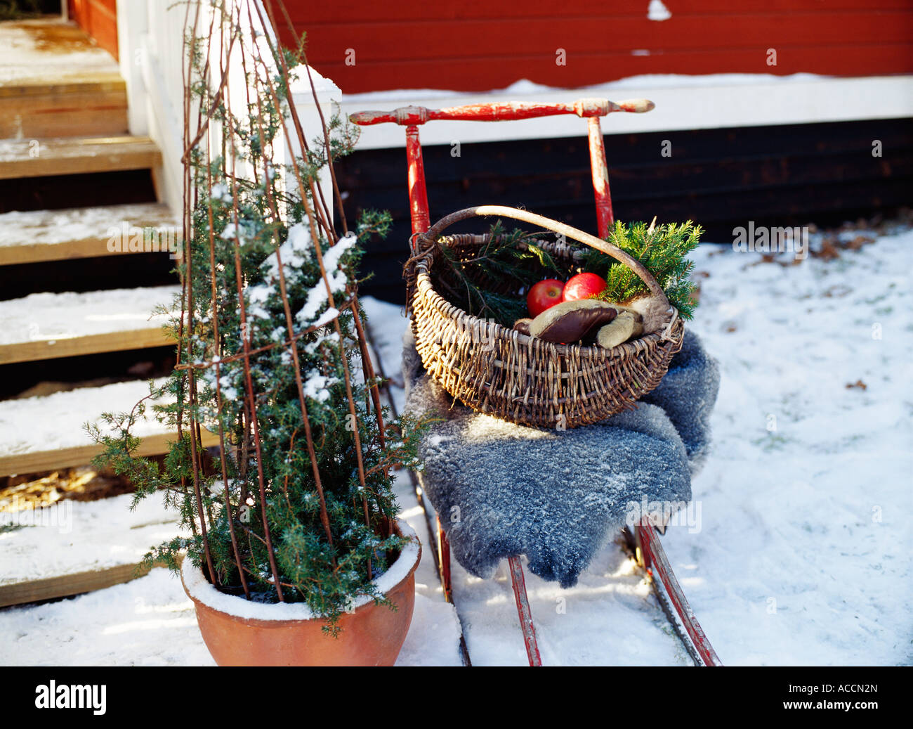 A kick-sled with a basket in front of a house Stock Photo - Alamy