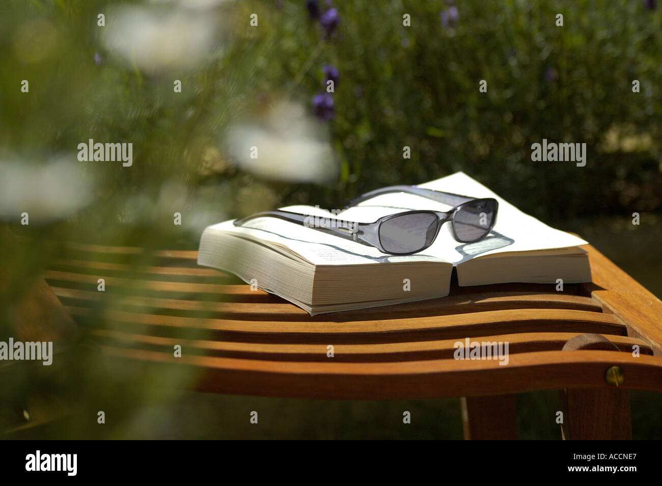 Open book left hi-res stock photography and images - Alamy