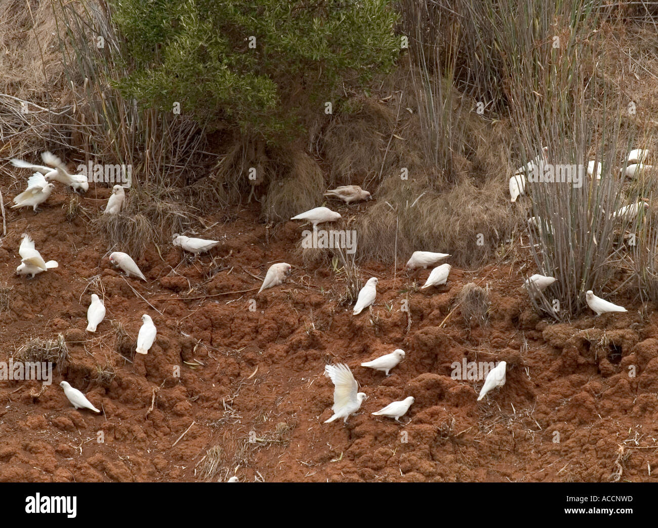 Grit bank hi-res stock photography and images - Alamy