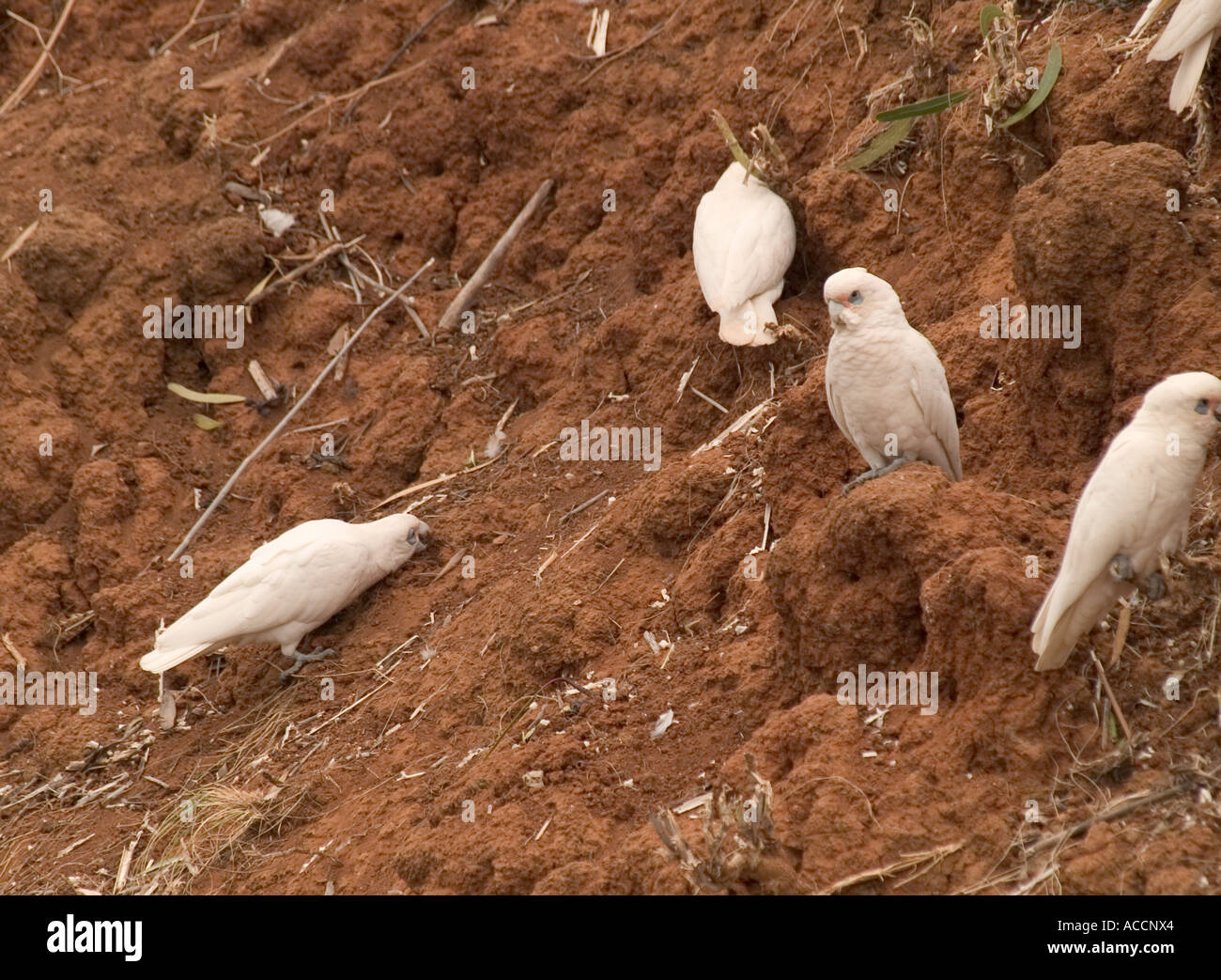 Grit bank hi-res stock photography and images - Alamy