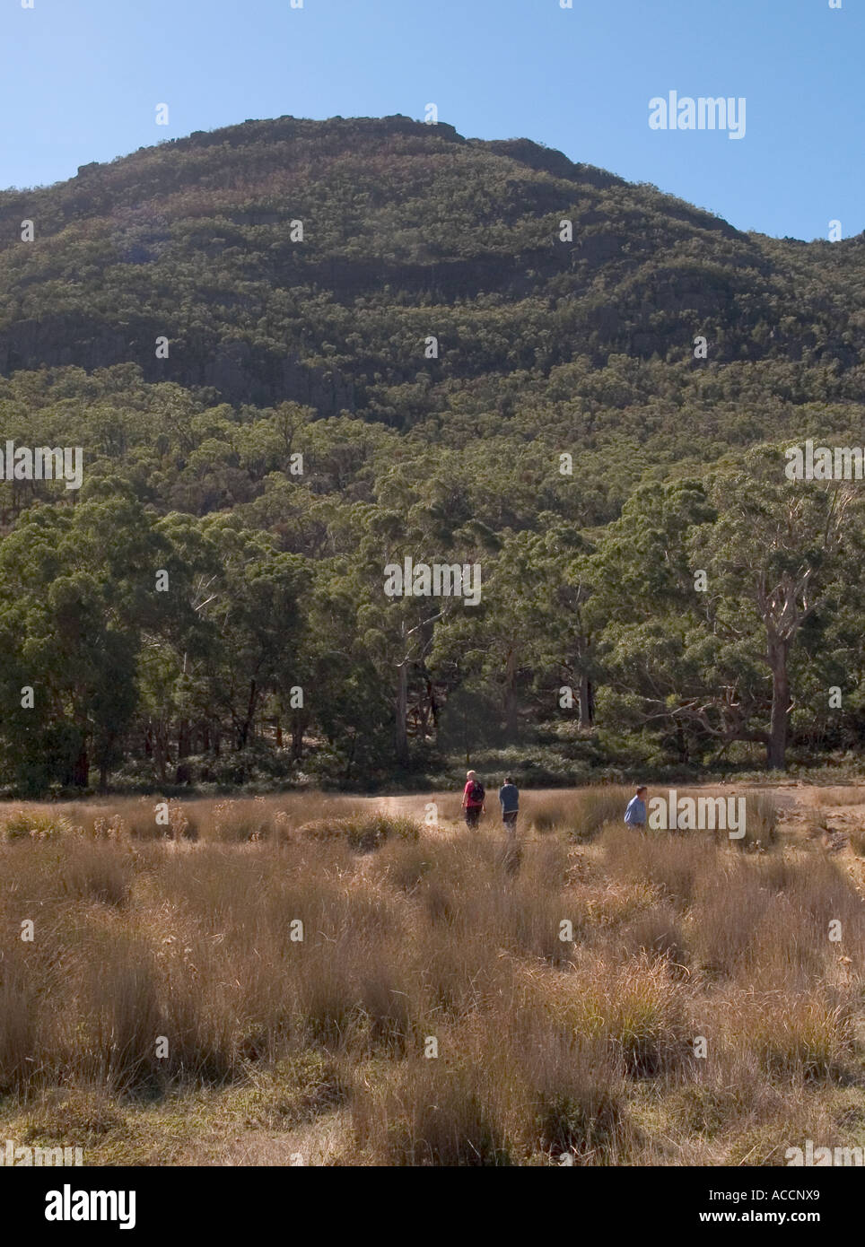 MOUNT WILLIAM RANGE VIEWED FROM NEAR , HALLS GAP INFORMATION CENTRE ...