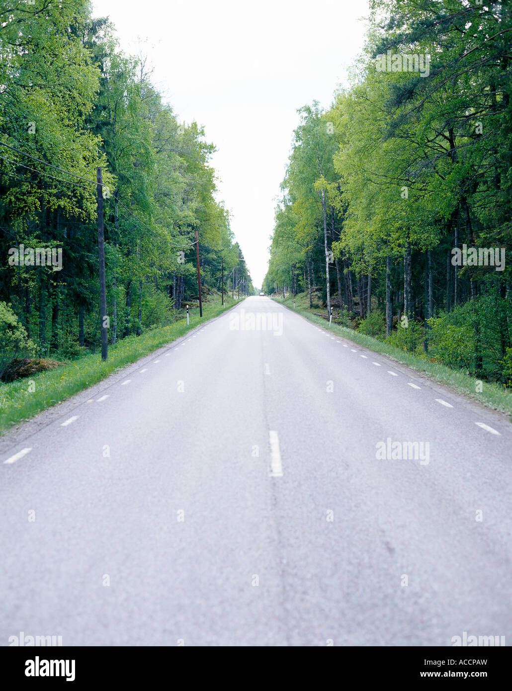 A deserted country road Stock Photo - Alamy
