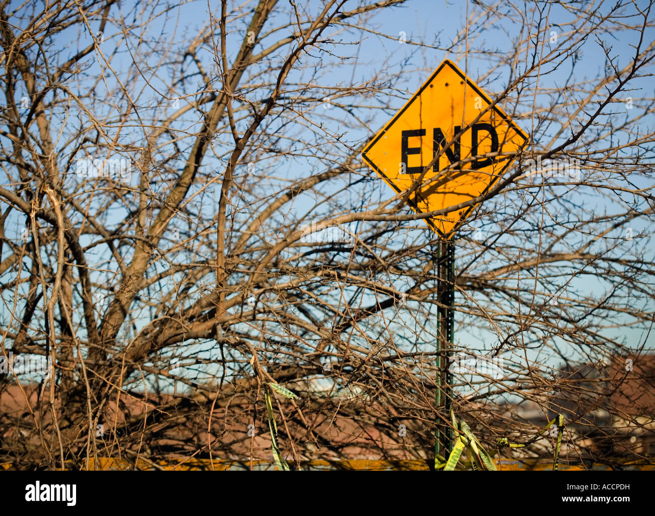 An overgrown traffic sign Stock Photo - Alamy