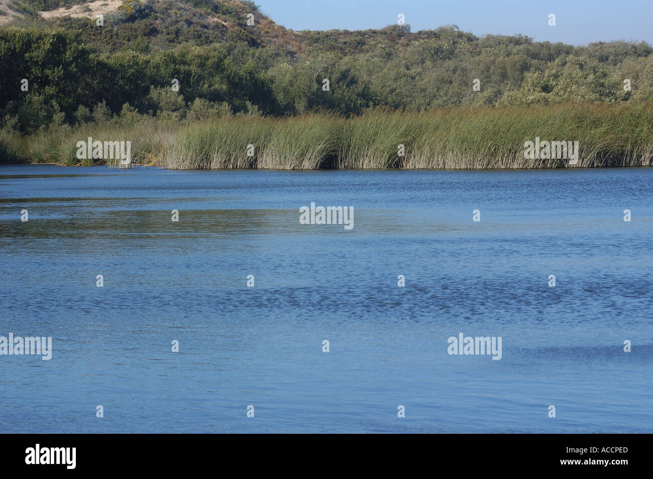 Oso Flaco Lake Stock Photo - Alamy