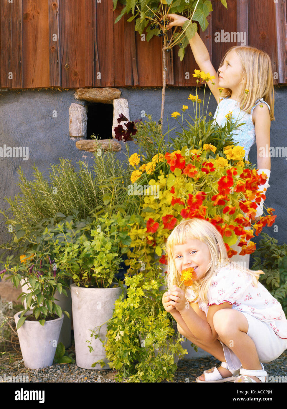 Two girls by potted plants Stock Photo - Alamy